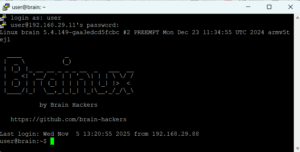 電子辞書Brainをいじる (2) Brainuxの初期設定とネットワークに接続して遊ぶ • 奈酢美の部屋 別館